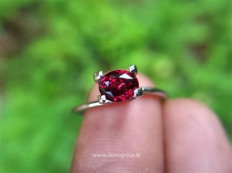 Ceylon Ruby Danu Group