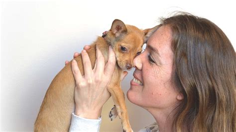 Home Humane Society Of Sonoma County