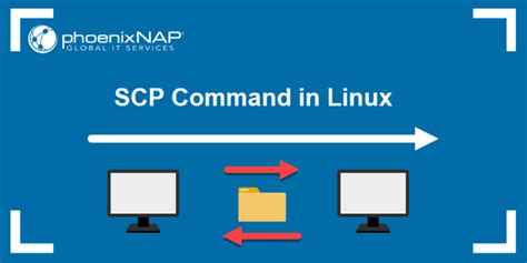 SCP Command In Linux Examples PhoenixNAP KB