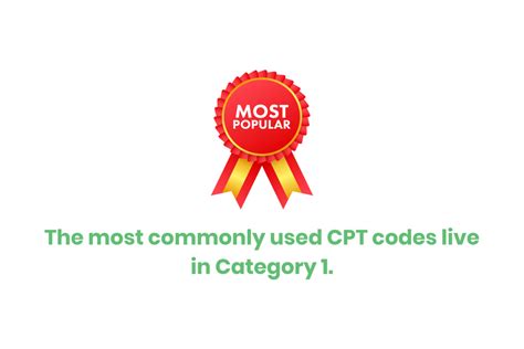 Cpt Code 99204 Everything You Need To Know — Etactics