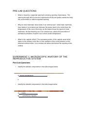 Lab Reproductive Docx PRE LAB QUESTIONS What Is Meant By Urogenital Opening Excretory
