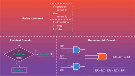 Conditional Execution Download Scientific Diagram