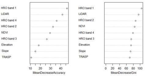 Mean Decrease For Variable Importance And Gini Index For The Vegetation Download Scientific