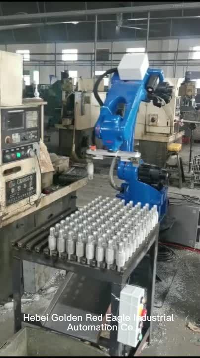 Industrial Robot Carry Palletizing Jonh Zhao