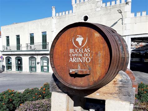 Enoturismo Em Bucelas