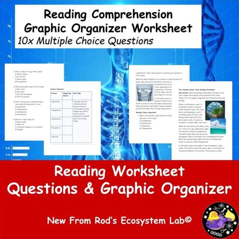 Bone Structure And Classification Reading Worksheet And Graphic Organizer