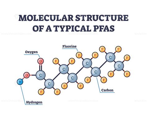 Pfas Molecular Structure Shows Carbon Fluorine Bonds Illustrating Chemical Stability Outline