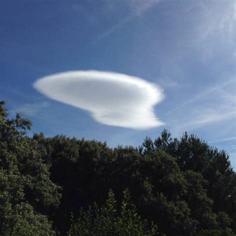 Altocumulus Cloud Appreciation Society