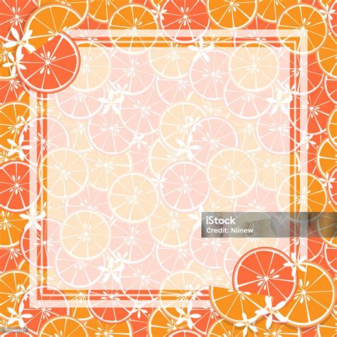 감귤류 과일 배경에 사각형 흰색 프레임과 직사각형 레이블의 벡터 그림입니다 열대 신선하고 육즙이 오렌지 감귤류 과일은 밀접하게