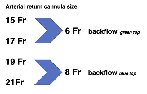 Distal Perfusion Cannula Alfred Ecmo Guideline