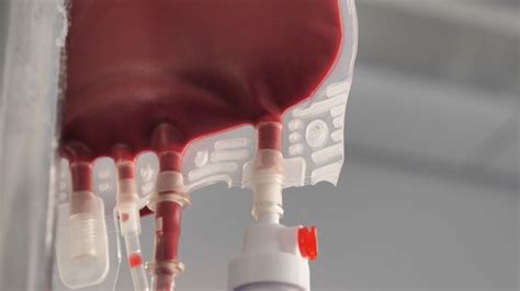 Blood | Definition, Composition, & Functions | Britannica