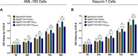 Cell Proliferation After Eef1a2 Knockout And Eef1a2 Overexpression