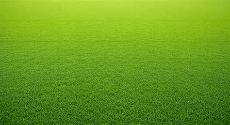Nature Background Nature Wallpaper Expansive Perfectly Manicured