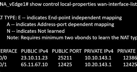 Cisco Viptela Sdwan Troubleshooting Commands For Control Plane Omp