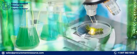 Monjasa To Uptick Its Mmarine Biofuels Offering Up In Latin America