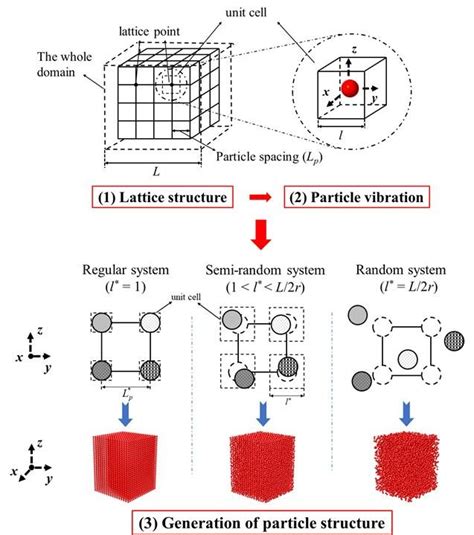 Schematic Diagram Of Particle Vibration Method Lp L And L Are Download Scientific Diagram