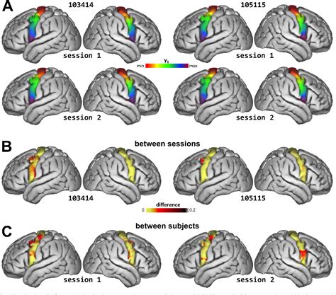 Figure 6 From Connectopic Mapping With Resting State Fmri Semantic