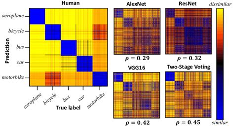 image level representational dissimilarity matrices rdms under