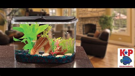 How To Set Up Your 5 Gallon Freshwater Aquarium Youtube