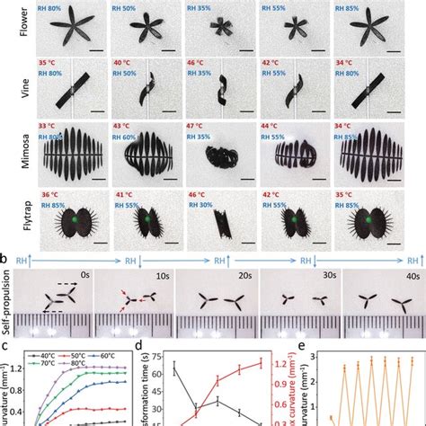 Schematic Illustration Of Multi‐stimuli‐responsive Soft Robots Msrs Download Scientific
