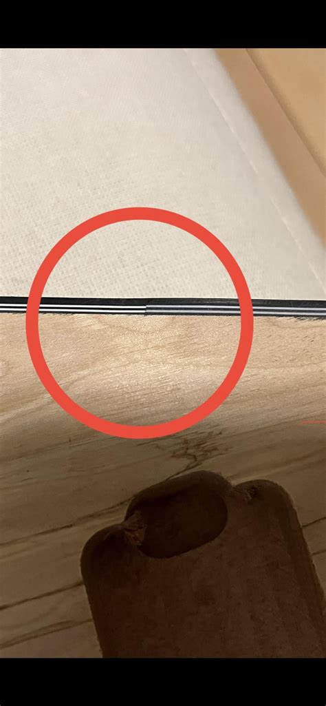 Binding Mismatch Repair Rluthier