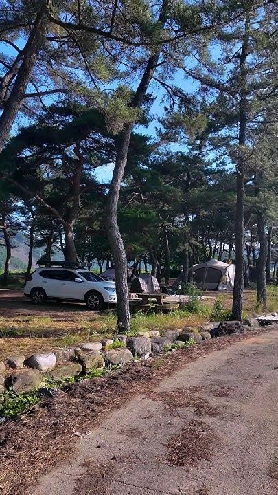 무료 데크 캠핑장 그늘 가득한 차박지가 있다 캠핑 차박 차박지추천 Youtube