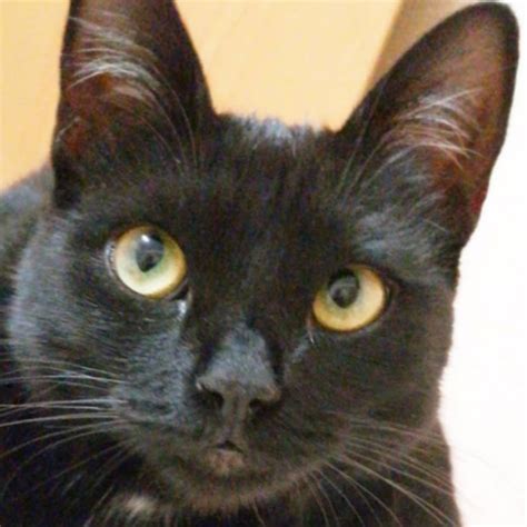 Phillip Prochaska Youtube