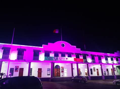 Pintan De Rosa El Palacio Municipal De Nogales El Rotativo