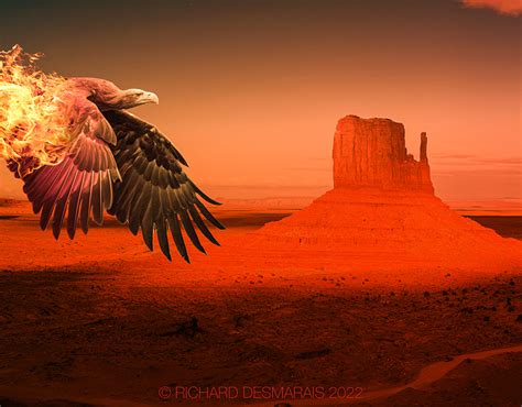 Firebird On Behance