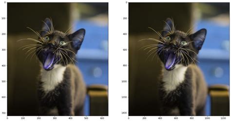Python How To Use Triton Server Ensemble Model With 1n Inputoutput To Create Patches From