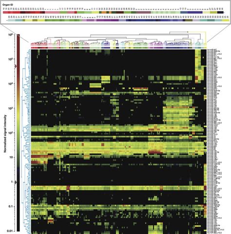 two dimensional hierarchical clustering analysis based on the