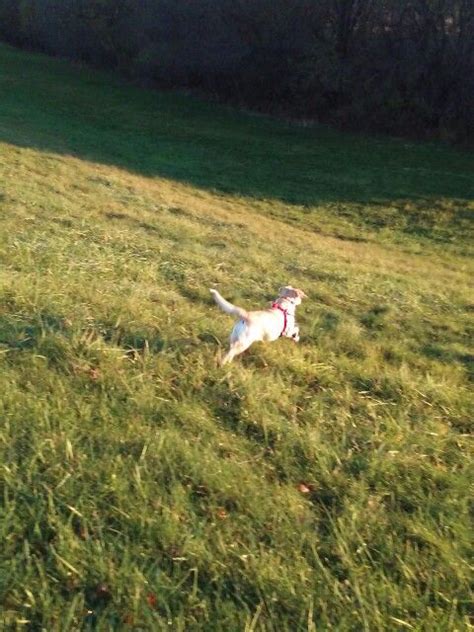 Pin On Violets Diary