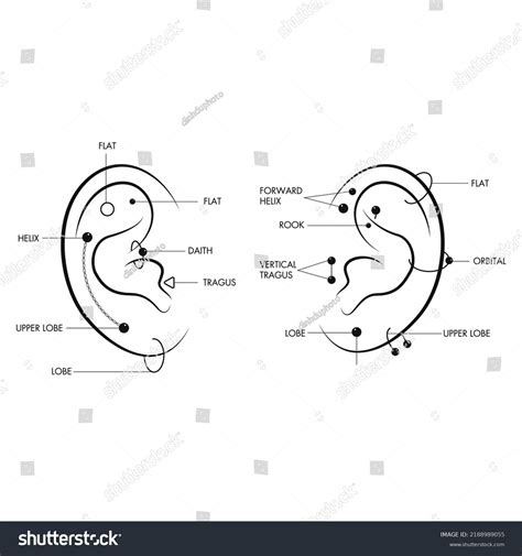 Map Ear Piercing Locations Stock Vector Royalty Free 2188989055