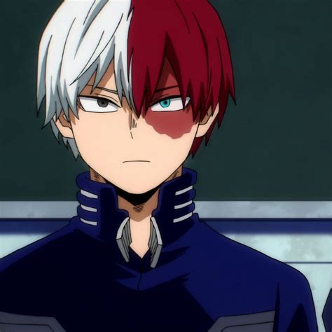 Shouto Todoroki