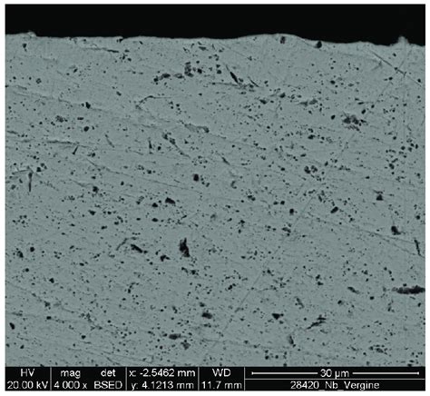 Cross Section SEM Image Of A Virgin Nb Sample Download Scientific Diagram