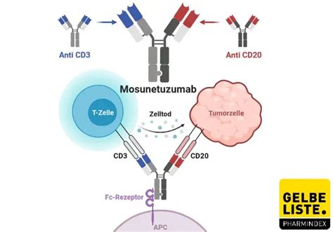 Fda批准首个用于rr滤泡性淋巴瘤的双特异性抗体mosunetuzumab（lunsumio）上市 Medscicn