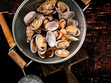 Types Of Clams Information Guide Chao Pescao Seafood