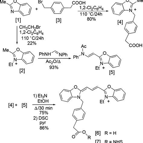 Synthesis Of The Methyl Cy5 Dye And Its Nhs Ester Download Scientific Diagram