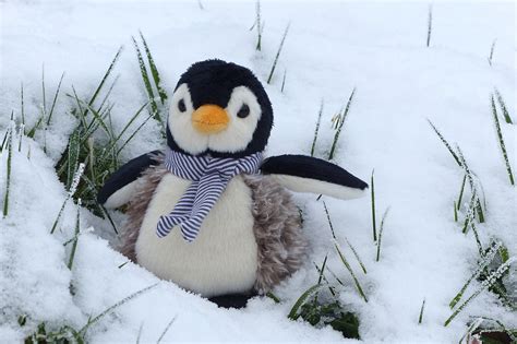 10 things every linux beginner should know codementor