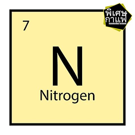 Nitrogen Flushing ไนโตรเจนฟลัช พิเศษ กาแฟ สาขาเพชรบุรี