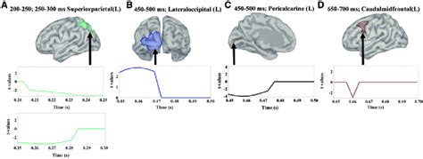 Cortical Source Estimation Maps With T Values For Scouts For Hp Minus