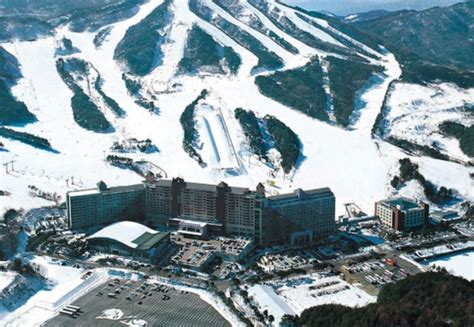 강원도 스키장 리조트 겨울 여행 인기 호텔 추천 순위 Best 5 로띠스마