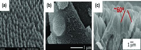 Sem Micrographs Of A Post Etching Of Anodic Aluminium Oxide For The Download Scientific Diagram