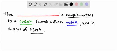 SOLVED The Part Of A TRNA That Is Complementary To A Codon In An MRNA Is The A Acceptor Stem B