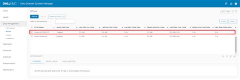 pantallazos es emc datadomain configurar y habilitar ddboost