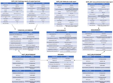 Overall Data Table Relationships Developed By The Study Download