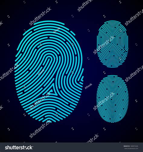 Types Fingerprint Patterns Arch Loop Whorl Stock Vector Royalty Free