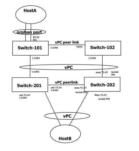 Vpc Topology Dropping Packet Cisco Community