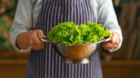 Manfaat Lettuce Atau Selada Bokor Untuk Kesehatan Klikdokter