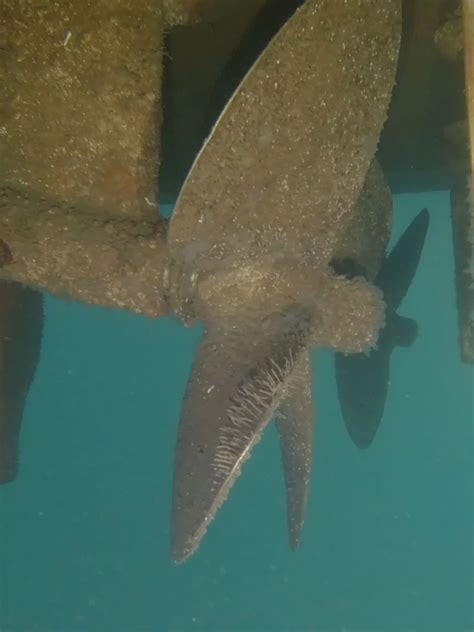 Recent Projects Scapa Technical Ltd